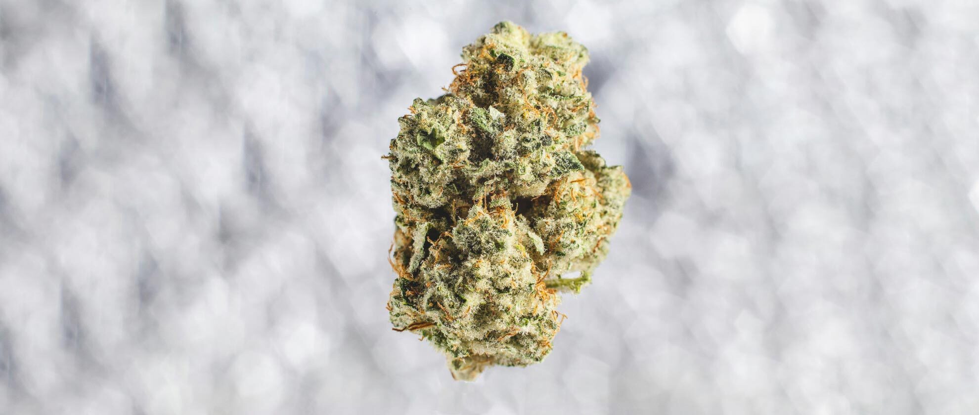 Washington Apple Strain: A Flavorful & Pure Indica | Mission