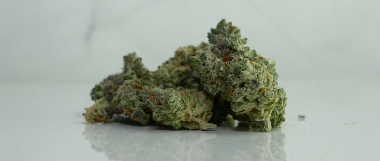 Medical & Recreational Marijuana Dispensaries | Mission Dispensaries