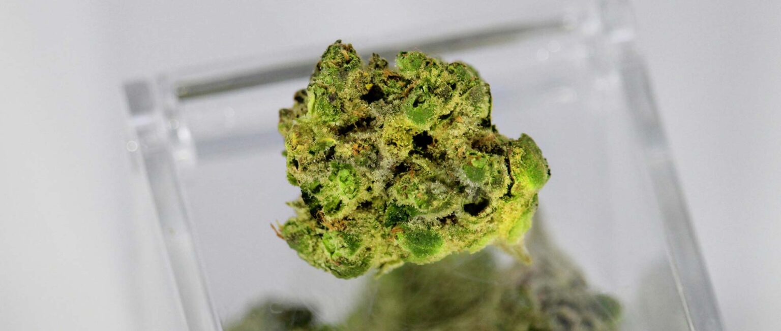 Medical & Recreational Marijuana Dispensaries | Mission Dispensaries