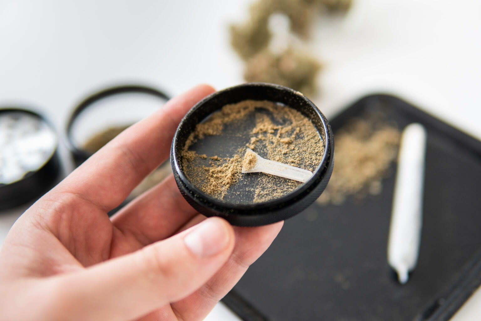 What Is Kief? From Trichomes to Topping Bowls | Mission
