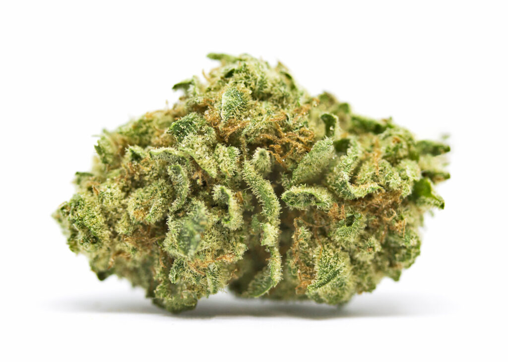 Super Boof Strain: A Potent & Giggly Hybrid | Mission