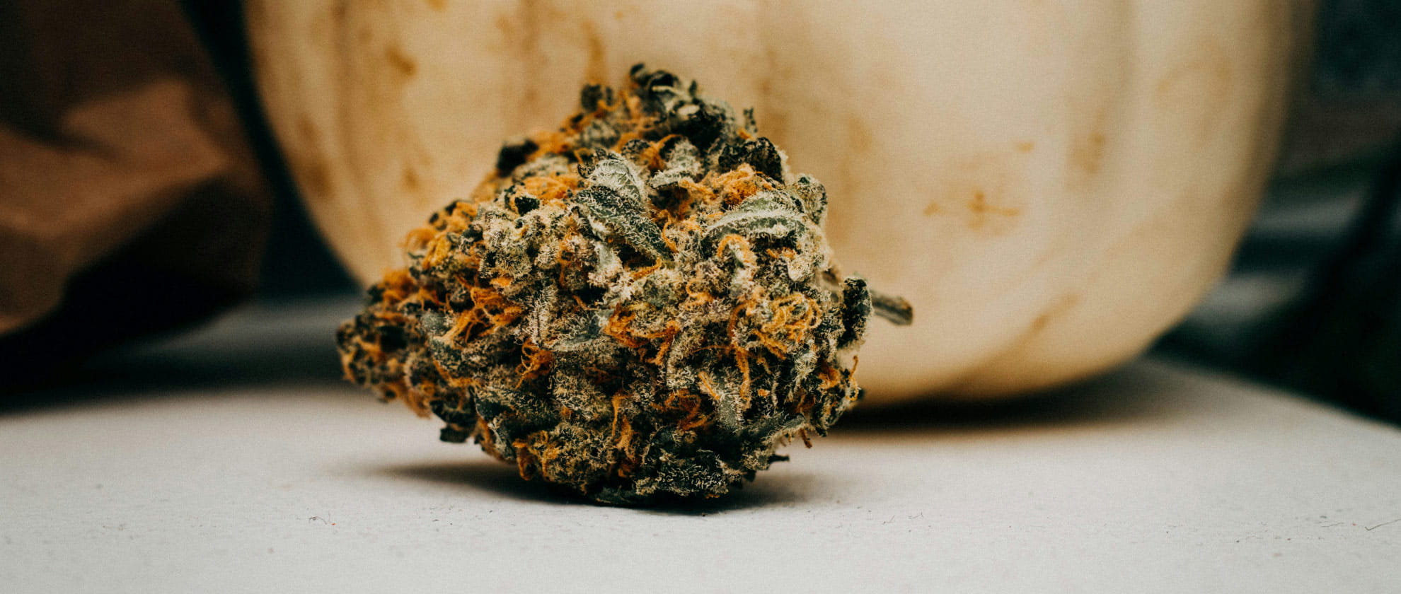 Super Boof Strain: A Potent & Giggly Hybrid | Mission